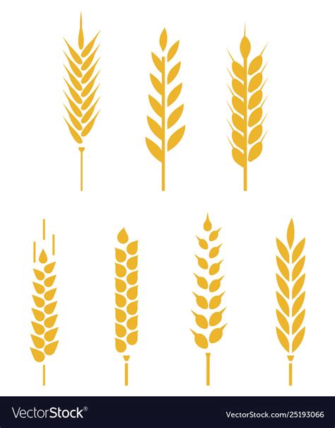 Grain Vector
