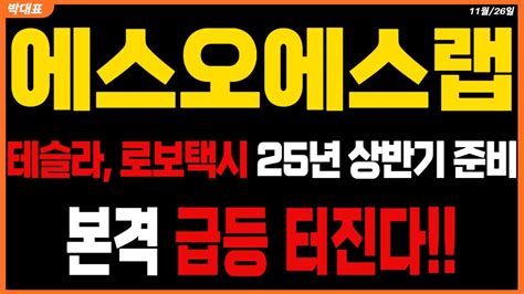 에스오에스랩 주가전망 테슬라 로보택시 25년 상반기내에 준비 본격 급등 터진다 에스오에스랩 에스오에스랩주가 에스오에스랩주가전망 Youtube