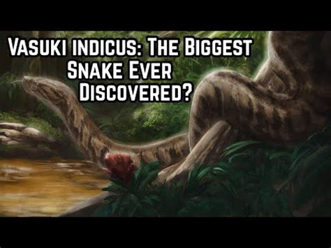 Vasuki Indicus The Biggest Snake Ever Discovered Youtube