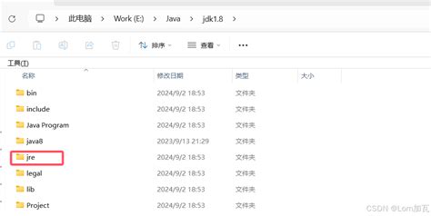 （java）19零基础安装配置教程（其他版本也适用） java19 csdn博客