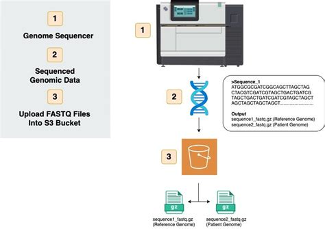 Genomics Secondary Analysis For Precision Medical Approaches So Cal Engineer