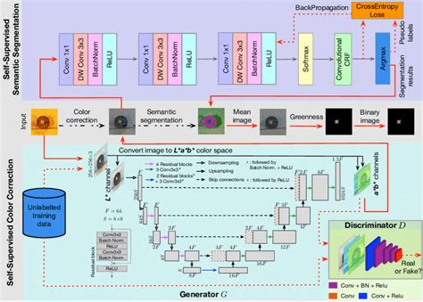 Overview Of The Proposed Self Supervised Leaf Segmentation Framework