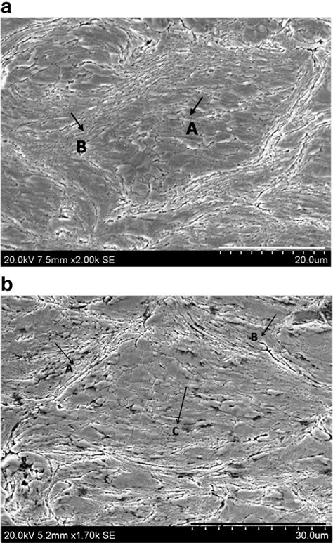 Sem Micrographs Of A And B Etched Cross Sections Of As Deposited