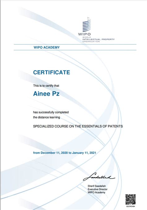 Write Patent Application As Per Patent Office Guidelines By Ainee Pz Fiverr