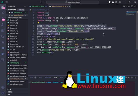 vs code 的 10 个必备生产力技巧，让你事半功倍！ linux迷