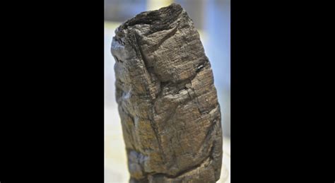 Scrolls Preserved In Vesuvius Eruption Read With X Rays Science News