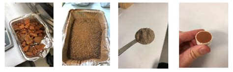 In Field Geochemical Analysis Sems Exploration Services