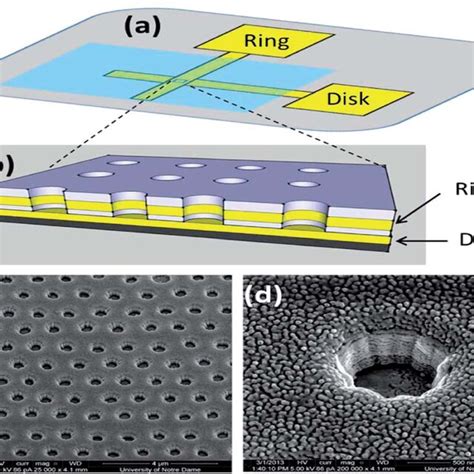 A Schematic Diagram Showing The Macroscopic Layout Of The Device And Download Scientific