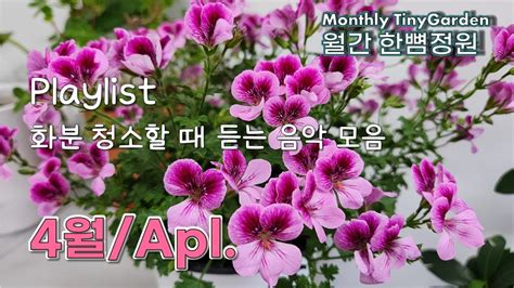 Playlist 베란다 화분청소 할때 듣는 음악 분갈이 할때 듣는 음악모음 삽목 할때 듣는 음악 플렌테리어 기분을 좋게
