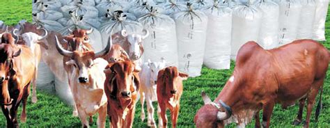 Fodder Packaging Bags Essen Multipack Limited