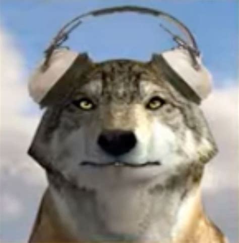 Wolf Pfp