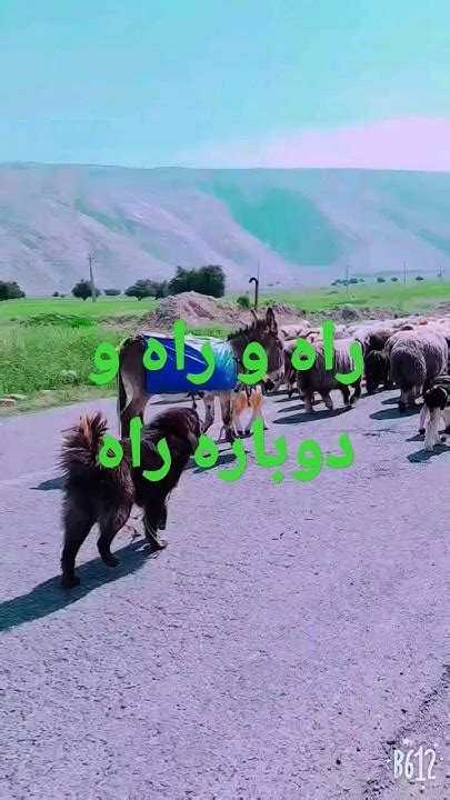 کوچ عشایر بختیاری عشایر ایران روز از نو روزی از نو Youtube