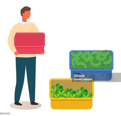 오이와 양상추의 작물을 가진 농부 남자 야채를 수확 도시 농업 개발에 대한 스톡 벡터 아트 및 기타 이미지 개발 건강한 생활방식 건강한 식생활 Istock