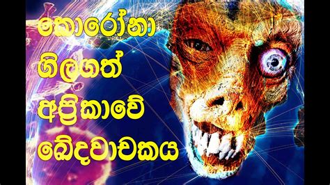 කොරෝනා ගිලගත් අප්‍රිකානු මහද්වීපයේ ඛේදවාචකය Youtube
