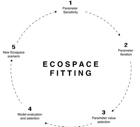 Flowchart Of The Ecospace Fitting Procedure Download Scientific Diagram