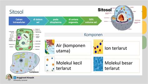 Anggiresti Kinasih On Linkedin Biologisel Sains Pengetahuan