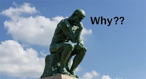 Timelessly Mindful Timelessly Mindful