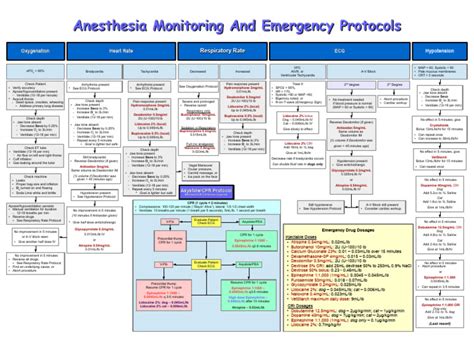 Anesthesia Flowchart 2 Van Pdf Cardiopulmonary Resuscitation Drugs