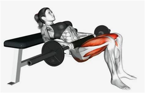 Glute Focused Strength Training Plan For Women • Bodybuilding Wizard