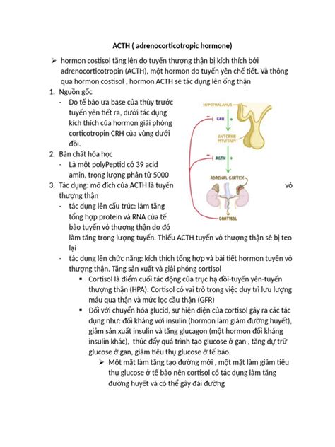 Hormon Acth Chi Na Pdf