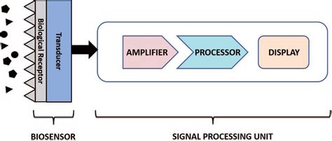 Biosensor Design Showing The Various Components Necessary For