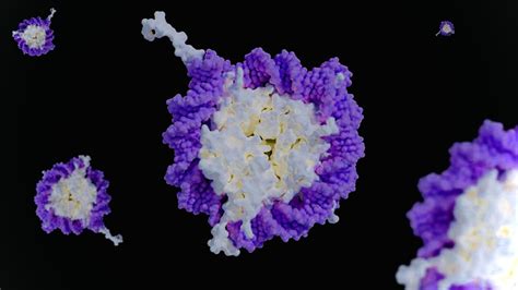 Nucleosome Core Model