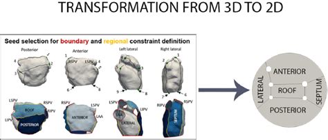 Transformation From 3d To 2d Download Scientific Diagram