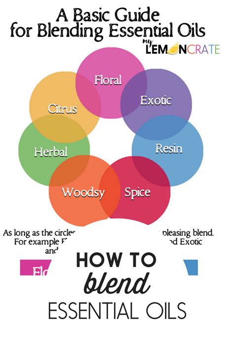 Essential Oil Blending Infographic
