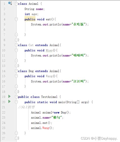 java多态性详解：条件、向上转型、重写与动态绑定 csdn博客