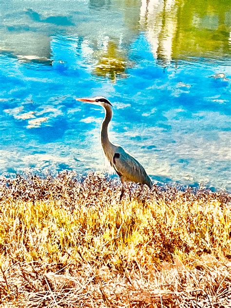 This Is What Albert Einsteins Desk Looked Like On The Day He Died By