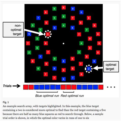 Visual Search Paradigm Software Company In Hong Kong