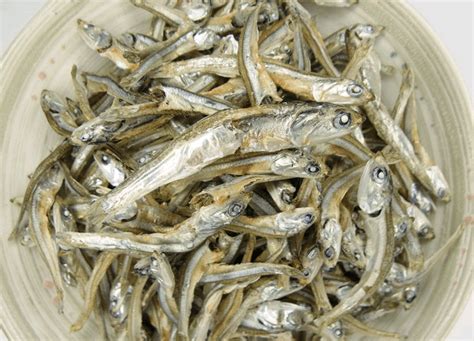 Strobing Sardines  On Imgur