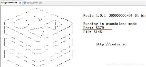 mac安装redis，原来就是这么简单 mac redis csdn博客
