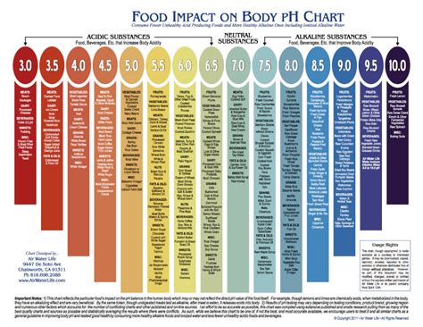 Top 3 Ways To Support Ph Balance Alkaline Foods List Health And