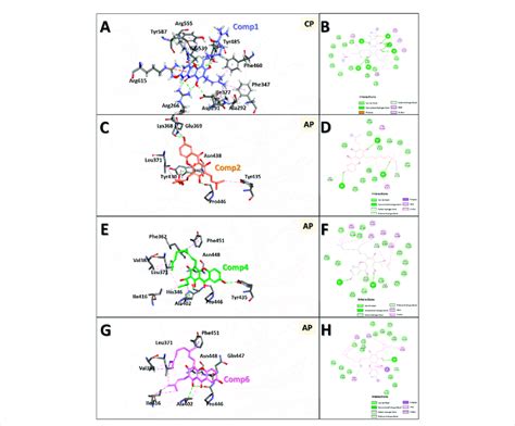 3d And 2d Binding Modes Of The Four Compounds With The Protein Obtained Download Scientific