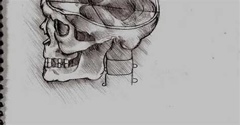 Davinci Sketch Recreation Album On Imgur