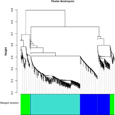 Dendrogram For Identifying Gene Clusters For The Merged Differentially