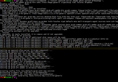 datapuistokemisti headless ubuntu 14 04 server with full disk