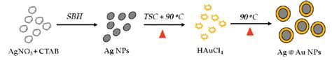 Synthesis Process Of Ag Core Au Shell Nanoparticles Download Scientific Diagram