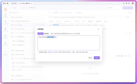 Cli 命令选项 Apifox 帮助文档