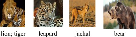 Example Of Users Query With Multiple Possible Interpretations Download Scientific Diagram