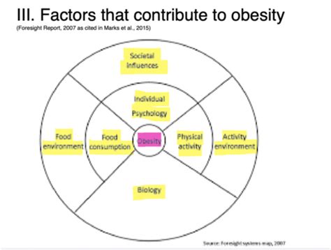 Ch 6 Health Compromising Behaviours Flashcards Quizlet