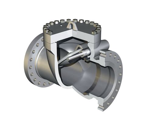 En Products Api A Check Valve GOLDENZS