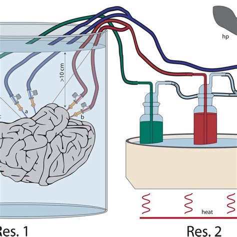 Schematic Representation Of A Simultaneous Injection Apparatus It