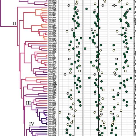 Pgls Analysis Of Four Sexual Traits Against Gonadal Sex Allocation