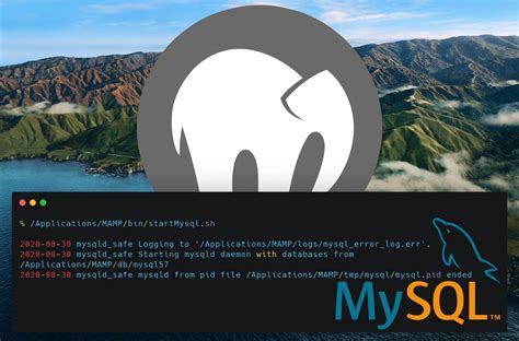 Mamp Update Mysql Belsenturin