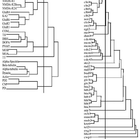 Gene Clusters By Keyword Associations Using Hierarchical Clustering