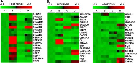 heat map representation of microarray data for heat shock gene