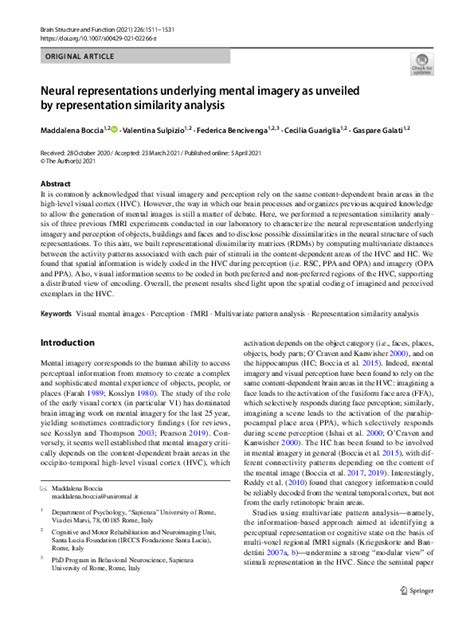 Pdf Neural Representations Underlying Mental Imagery As Unveiled By