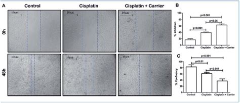 Effect Of Cisplatin Carrier As Tripta Cisplatin On Cell Migration In Download Scientific